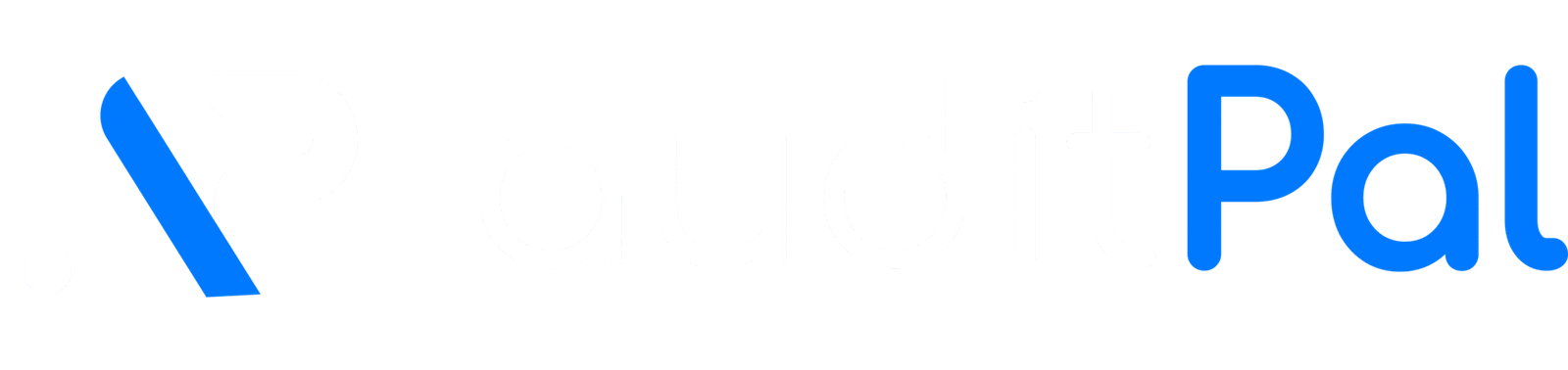 AuditPal